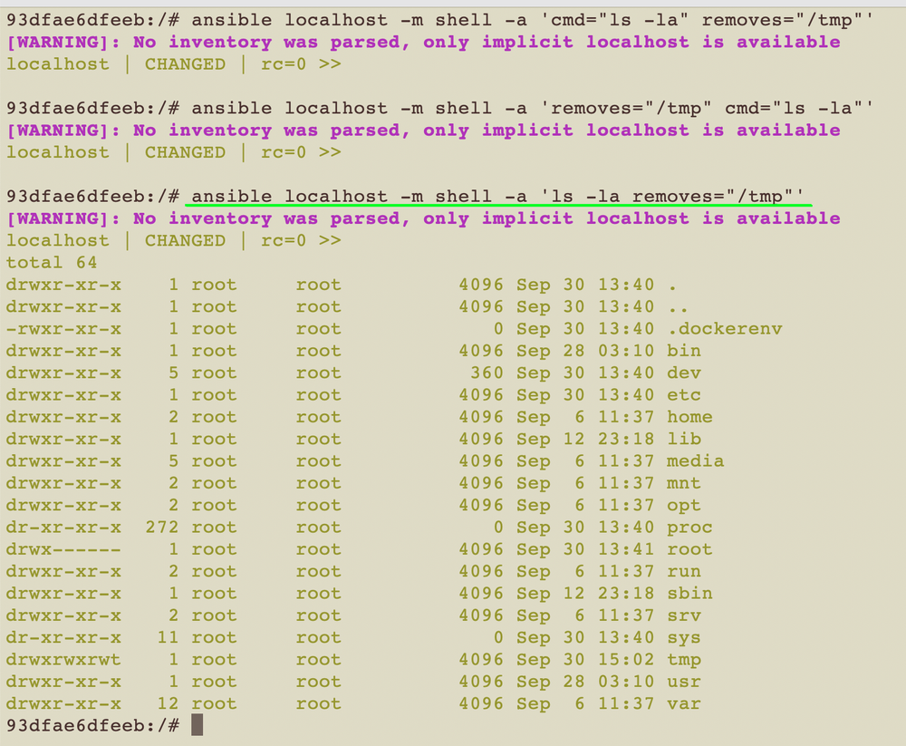 Ansible: Ad-Hoc Shell Module