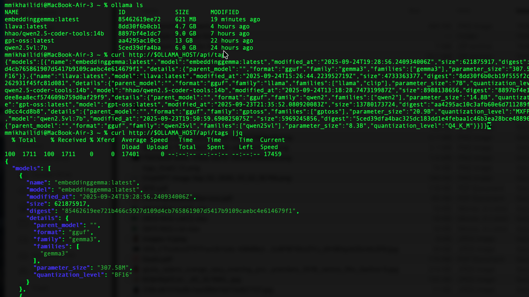 Cline: Use Local Workstation